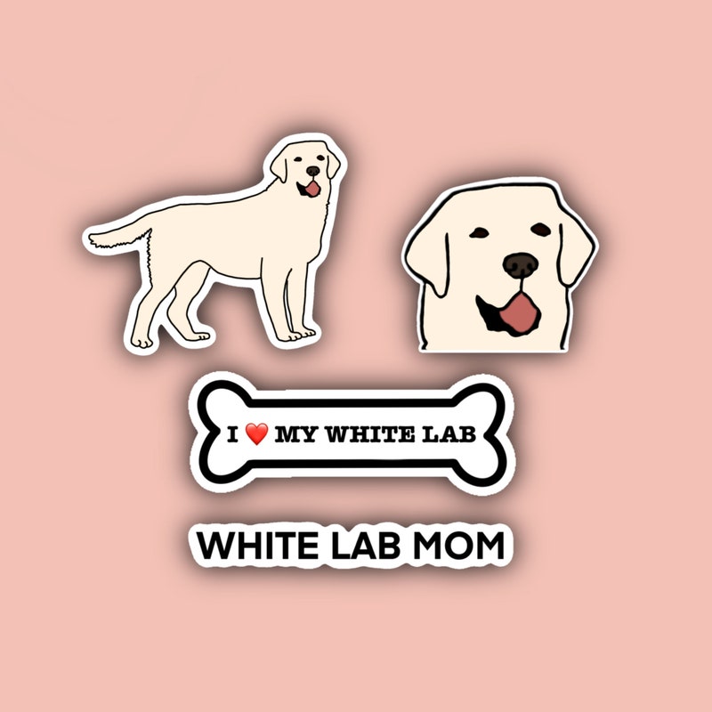 White Lab - Etsy