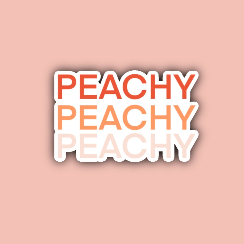 Peach Sticker Pack Peach Stickers Fruit Food | Etsy