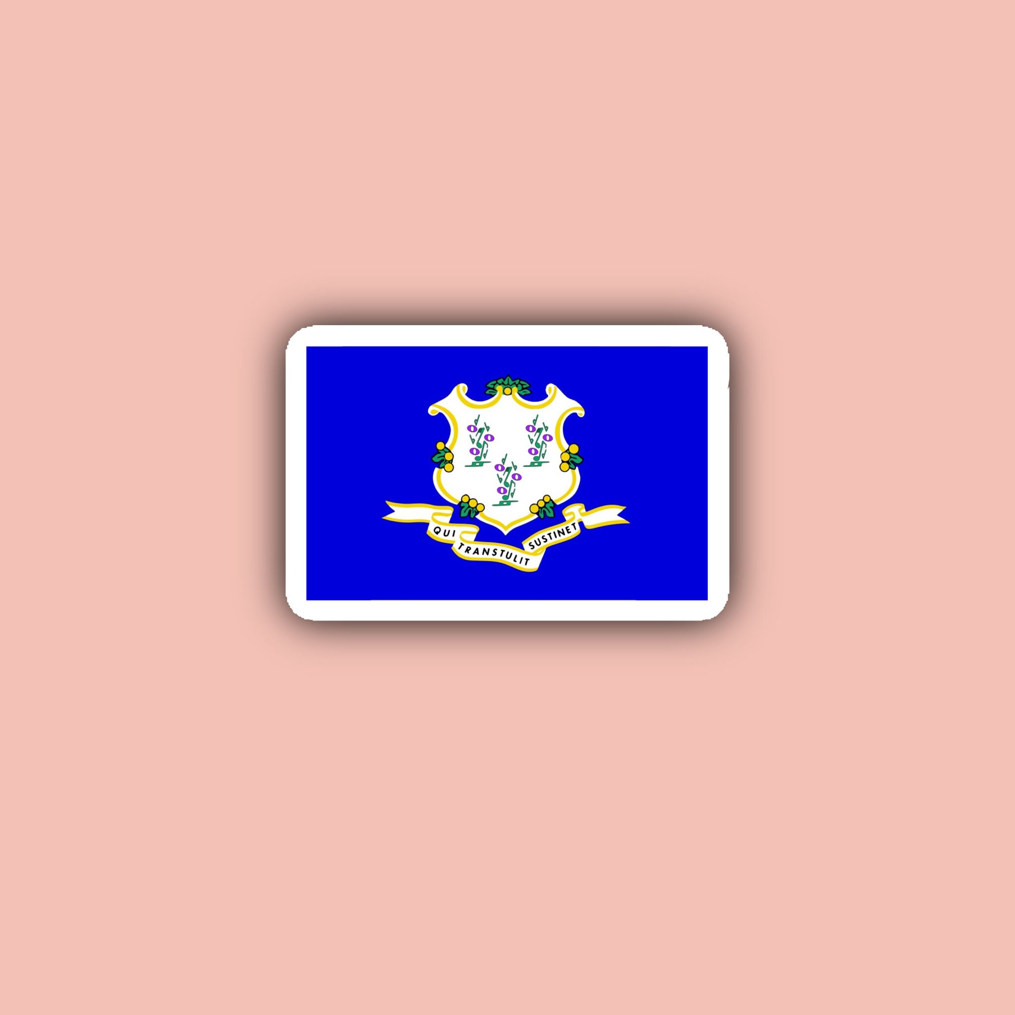 Connecticut Sticker Pack New Haven Hartford Connecticut - Etsy