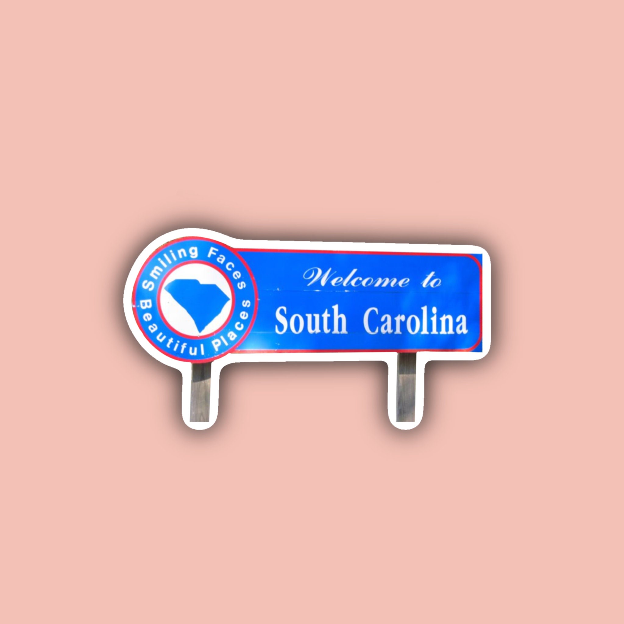 South Carolina Sticker Pack SC South Carolina Flag | Etsy