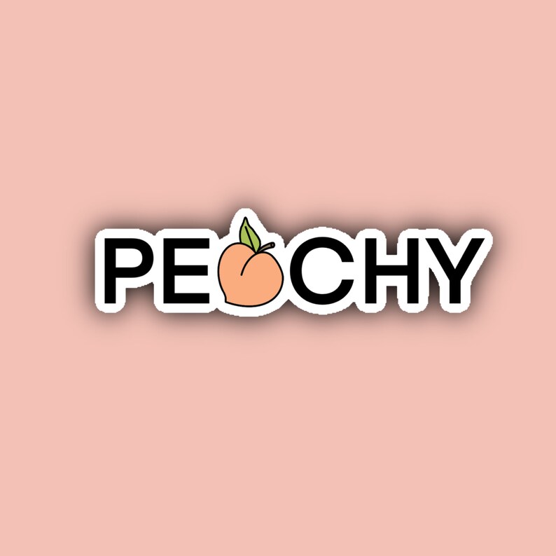 Peach Sticker Pack Peach Stickers Fruit Food | Etsy
