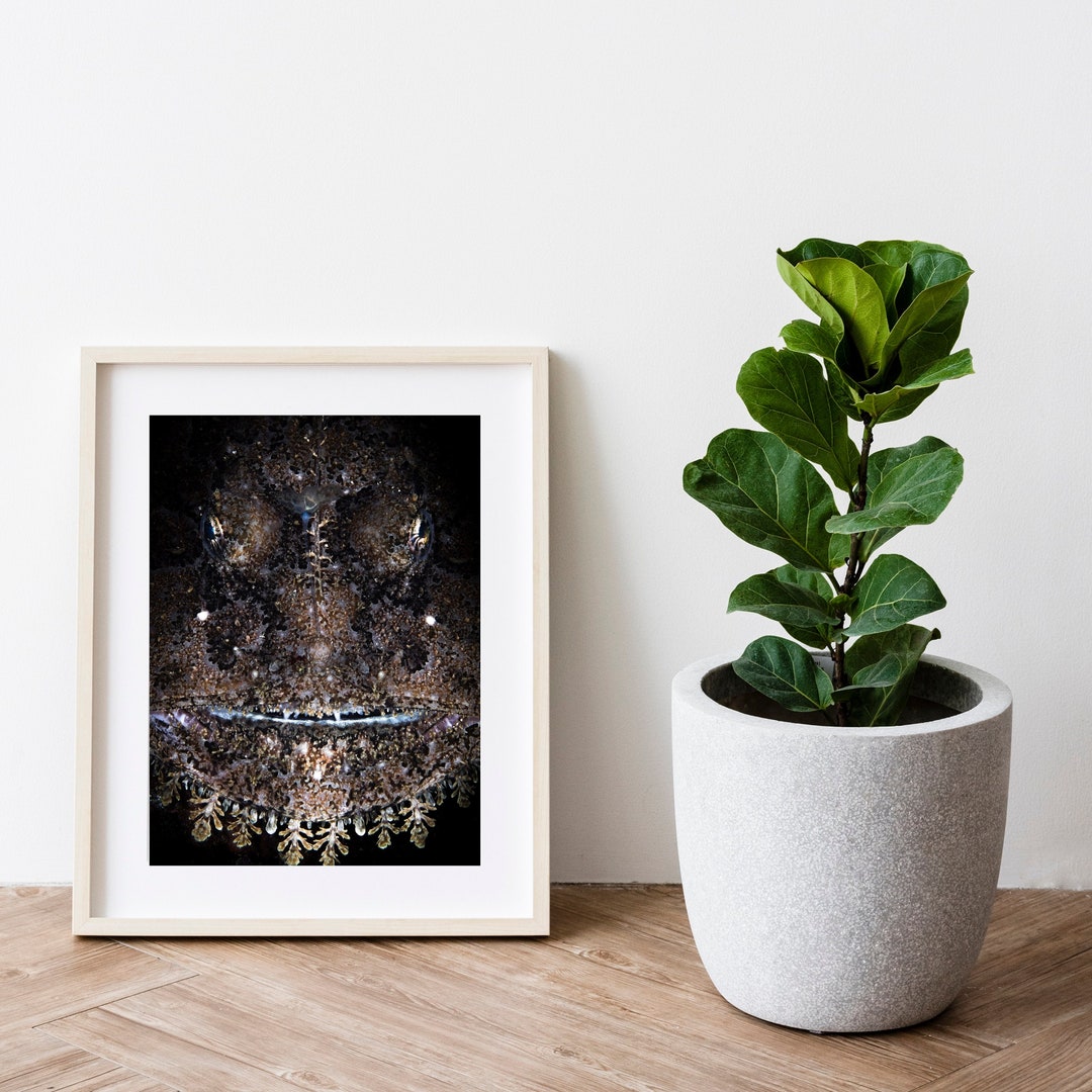 Monkfish Portrait Underwater Art Photo Print Mounted 11x14 Inch - Etsy