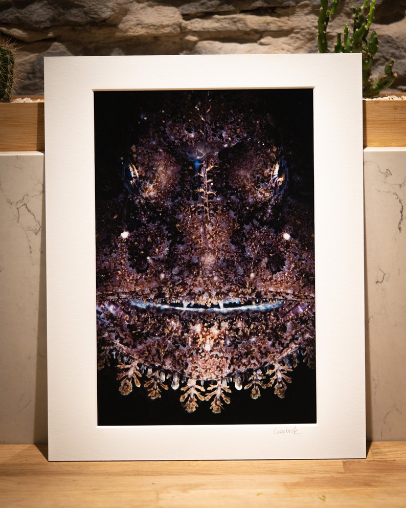 Monkfish Portrait Underwater Art Photo Print Mounted 11x14 Inch - Etsy