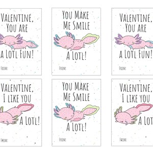 Axolotl Valentine's Day Cards, Unique Valentine's Day Cards, Axolotl ...