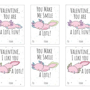 Axolotl Valentine's Day Cards, Unique Valentine's Day Cards, Axolotl ...