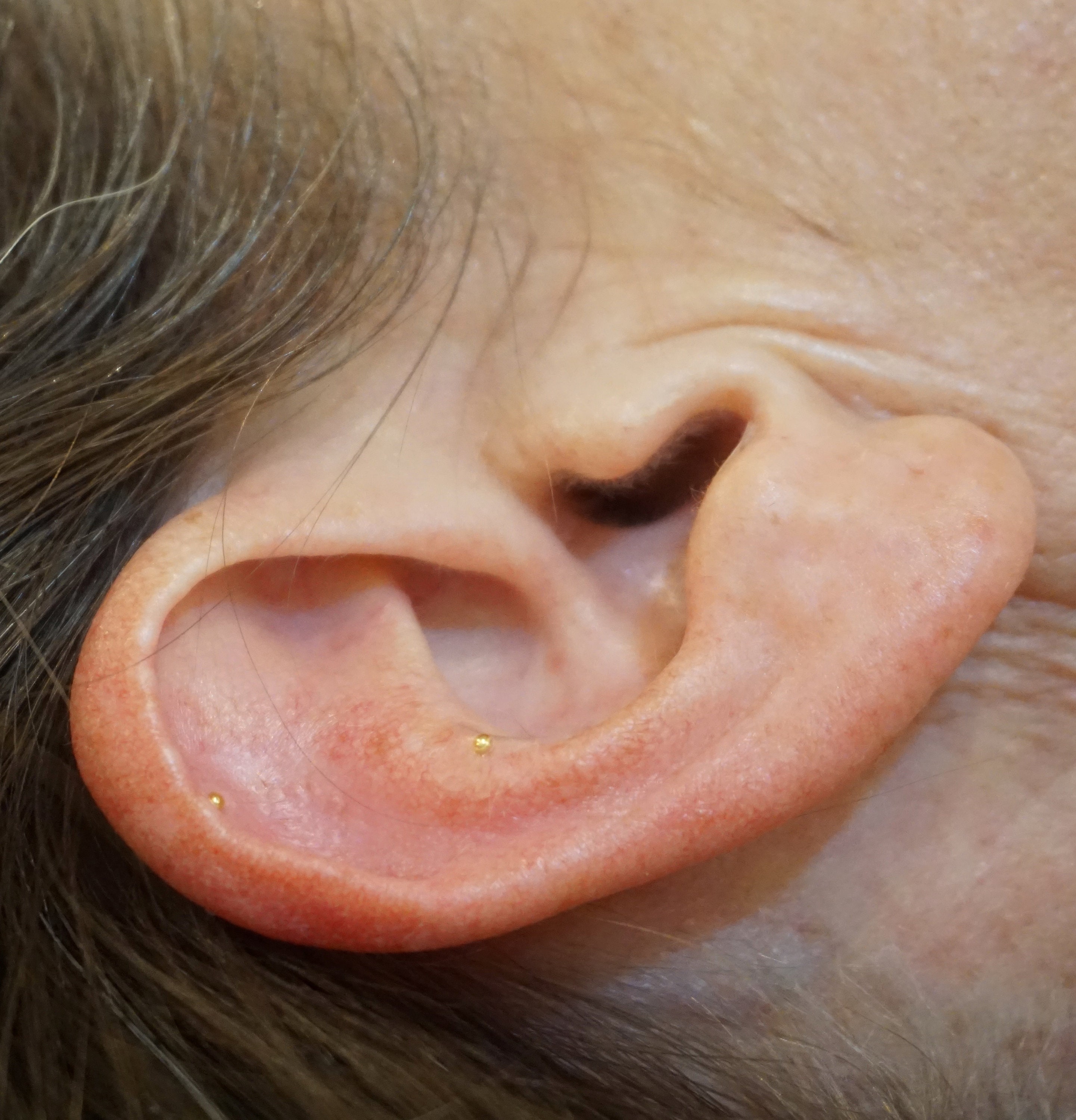 Metal Element Swarovski Crystal Ear Pellet - Etsy