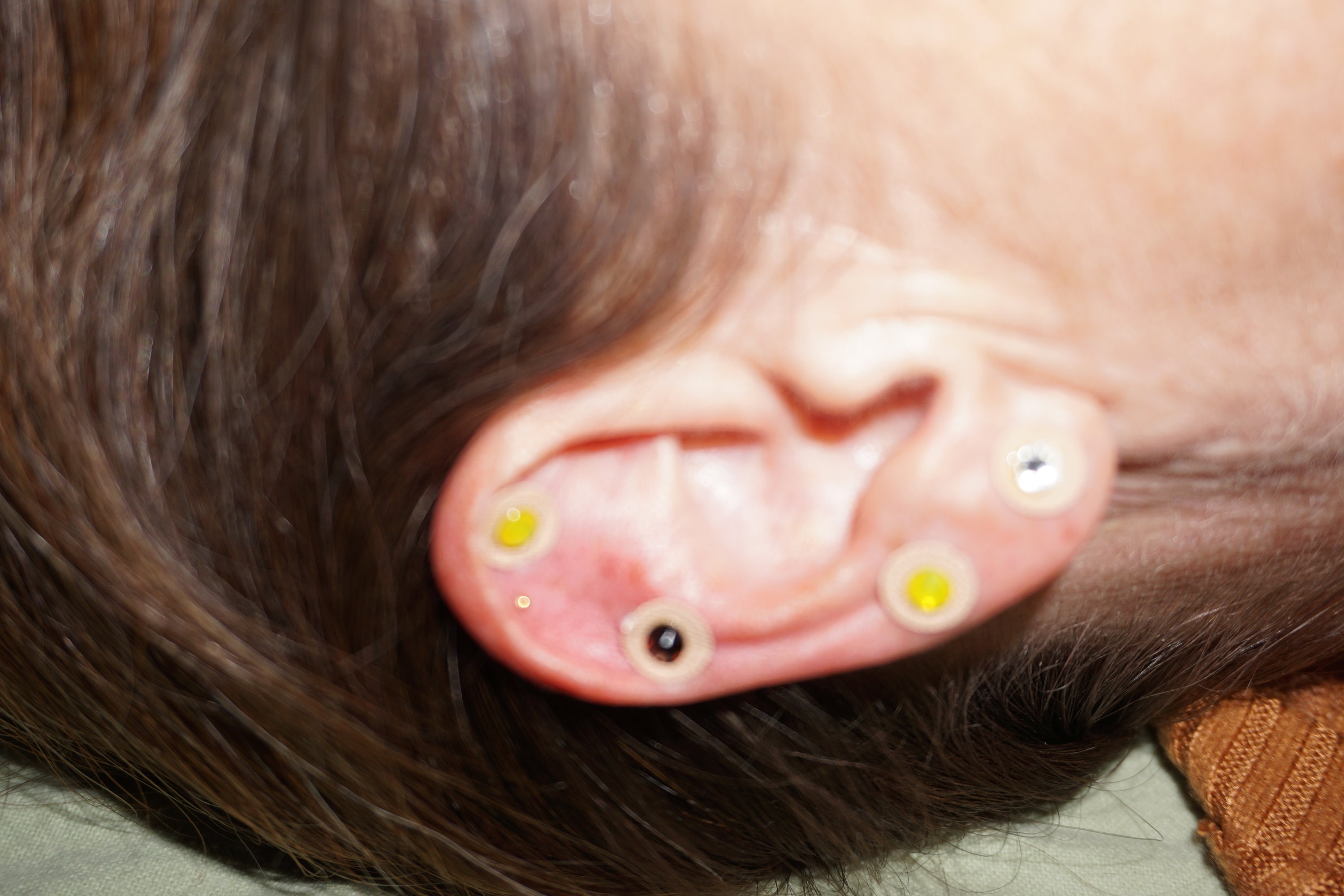 Metal Element Swarovski Crystal Ear Pellet - Etsy