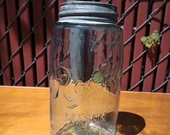 Root Mason Jar - Etsy