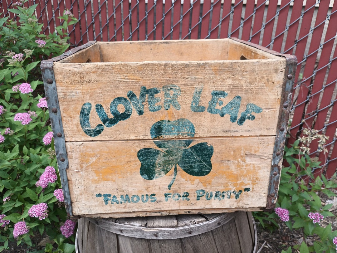 Vintage Milk Crate Clover Leaf Creamery Famous for Purity - Etsy