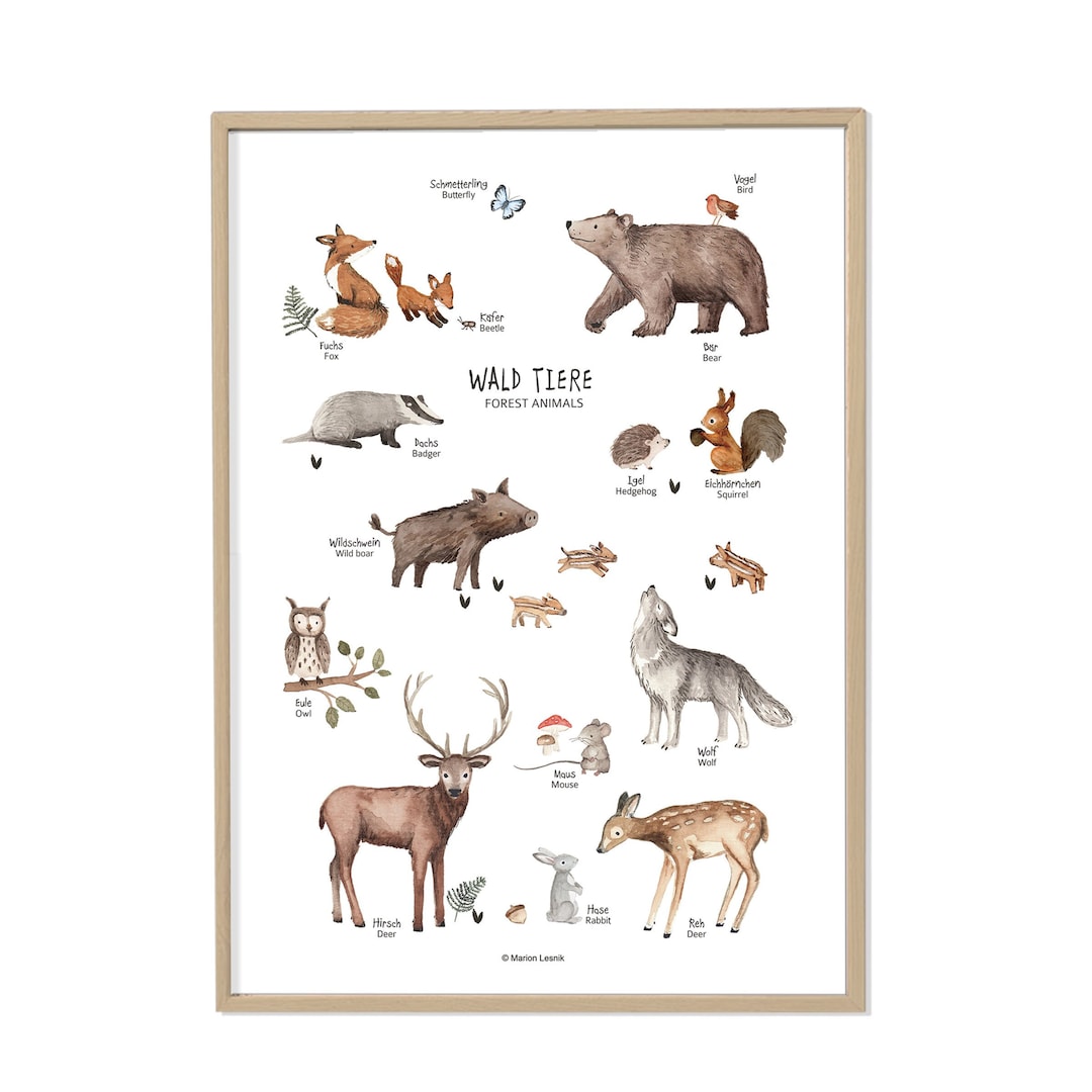 Forest Animals Art Print Poster; Gift Idea Children - Etsy