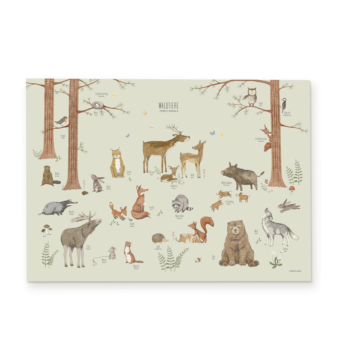 Poster Forest Animals Green Hand-drawn; Educational Poster, Wall ...