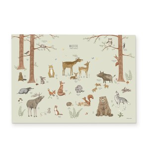 Green Hand-drawn Poster of Forest Animals; Educational Poster, Wall ...