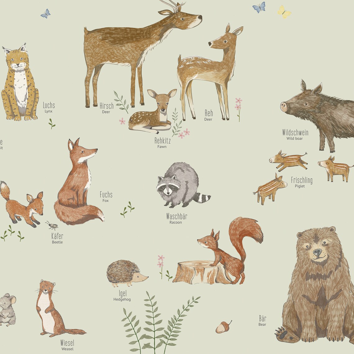 Poster Forest Animals Green Hand-drawn; Educational Poster, Wall ...