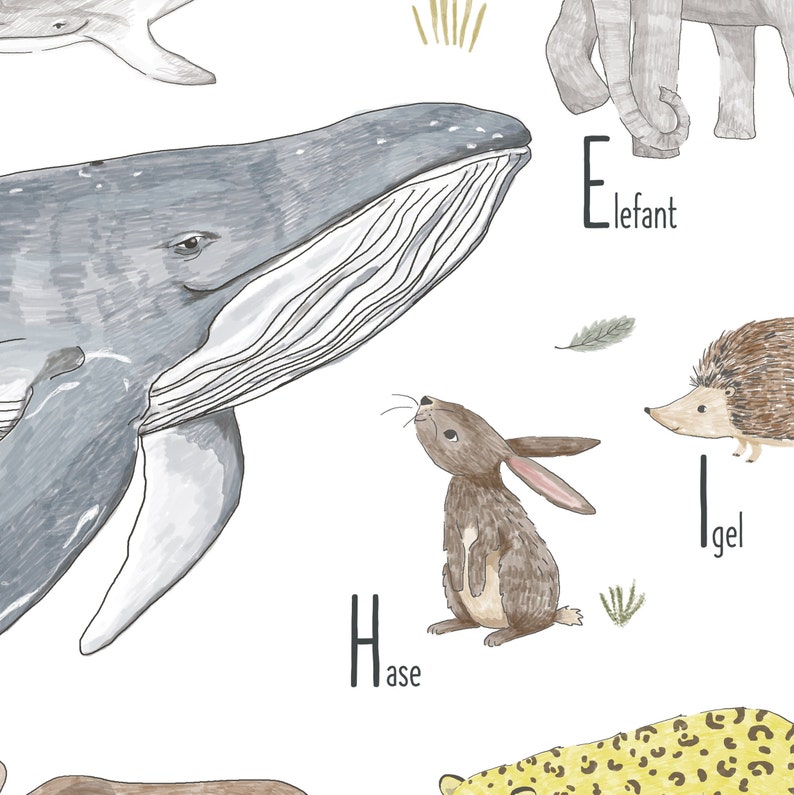 Afiche ABC de los Animales; Lámina artística infantil - Etsy México
