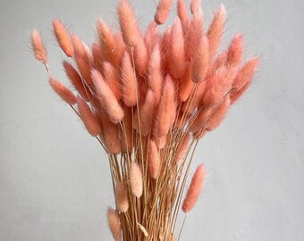 20 Stems - Dried Lagurus Grass, Blush Peach (bunny Tails) / Dried Fluffy Lagurus / Dried Flowers ...