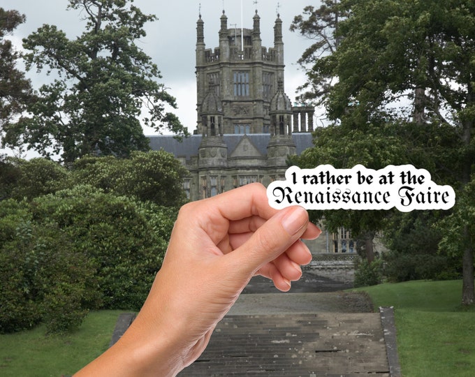 Meet Me in the Jousting Arena Bitch Bumper Sticker, Ren Faire Stickers ...