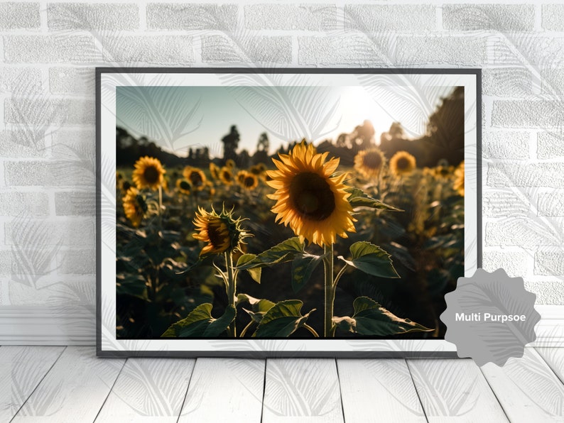 Sunflower Field Virtual Background, Zoom Virtual Background, Teams ...