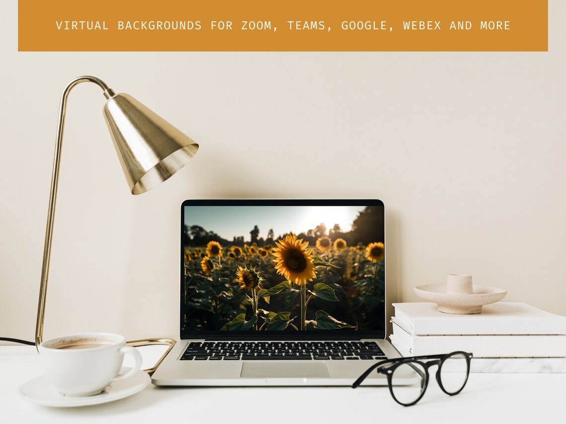 Sunflower Field Virtual Background, Zoom Virtual Background, Teams ...