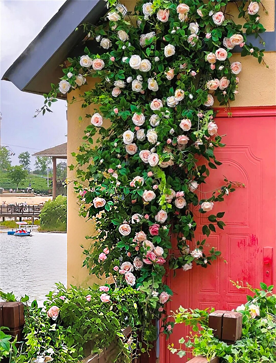Multi-colored Rose Canes,simulated Roses, Flower Walls, Decorative ...