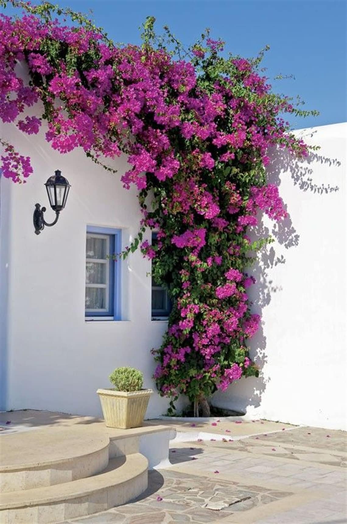 Artificial Bougainvillea Garland, Faux Bougainvillea Flower Garland ...