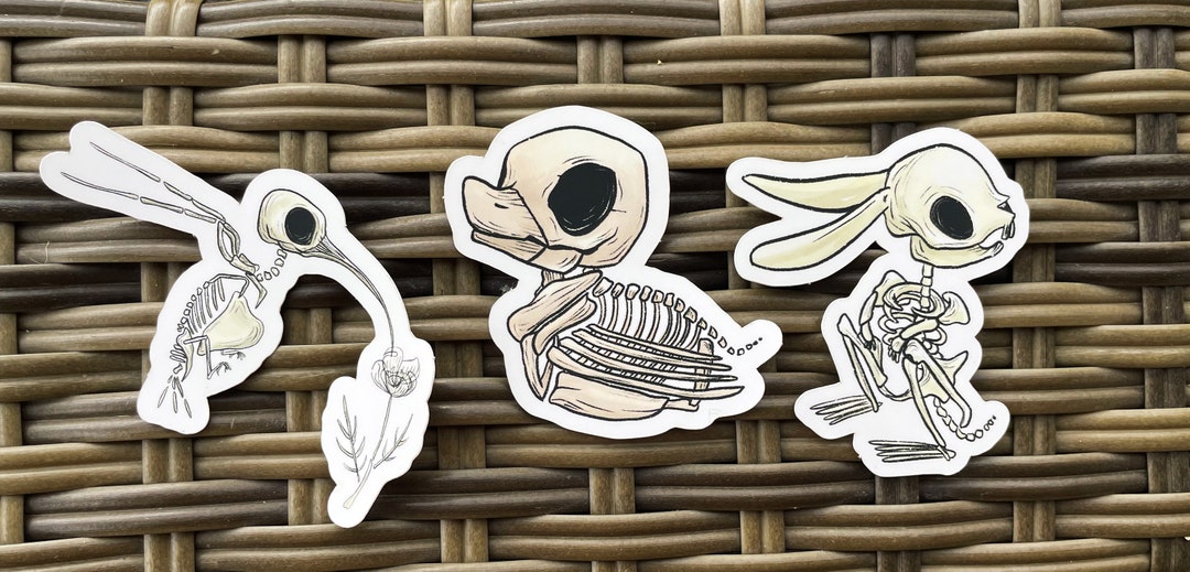 Springtime Skeleton Spooky Stickers Homemade Decal - Etsy