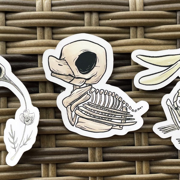 Skeleton Decal - Etsy