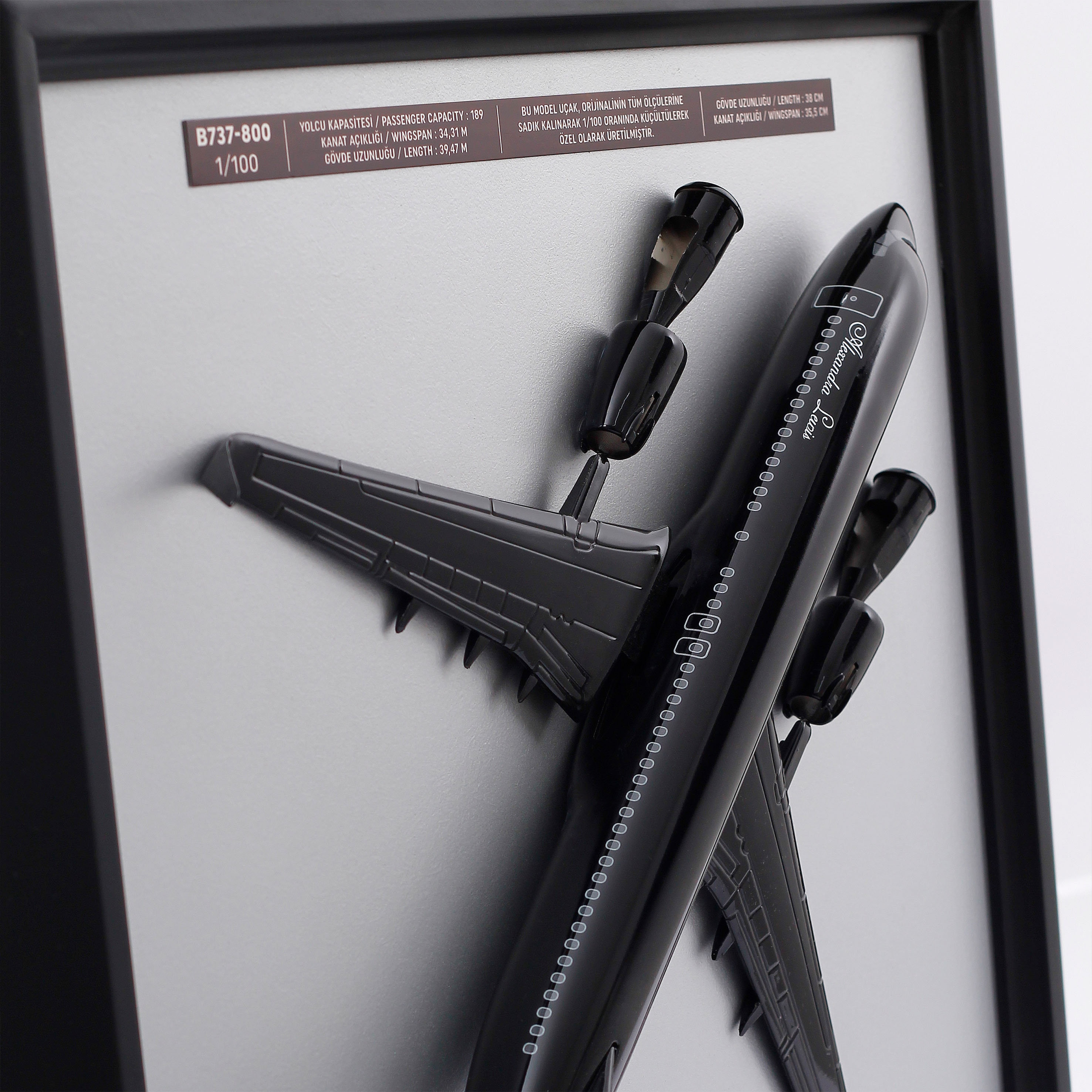 Boeing 737 Model Airplane Frame, 1/100 Scaled Airplane Wooden Frame ...