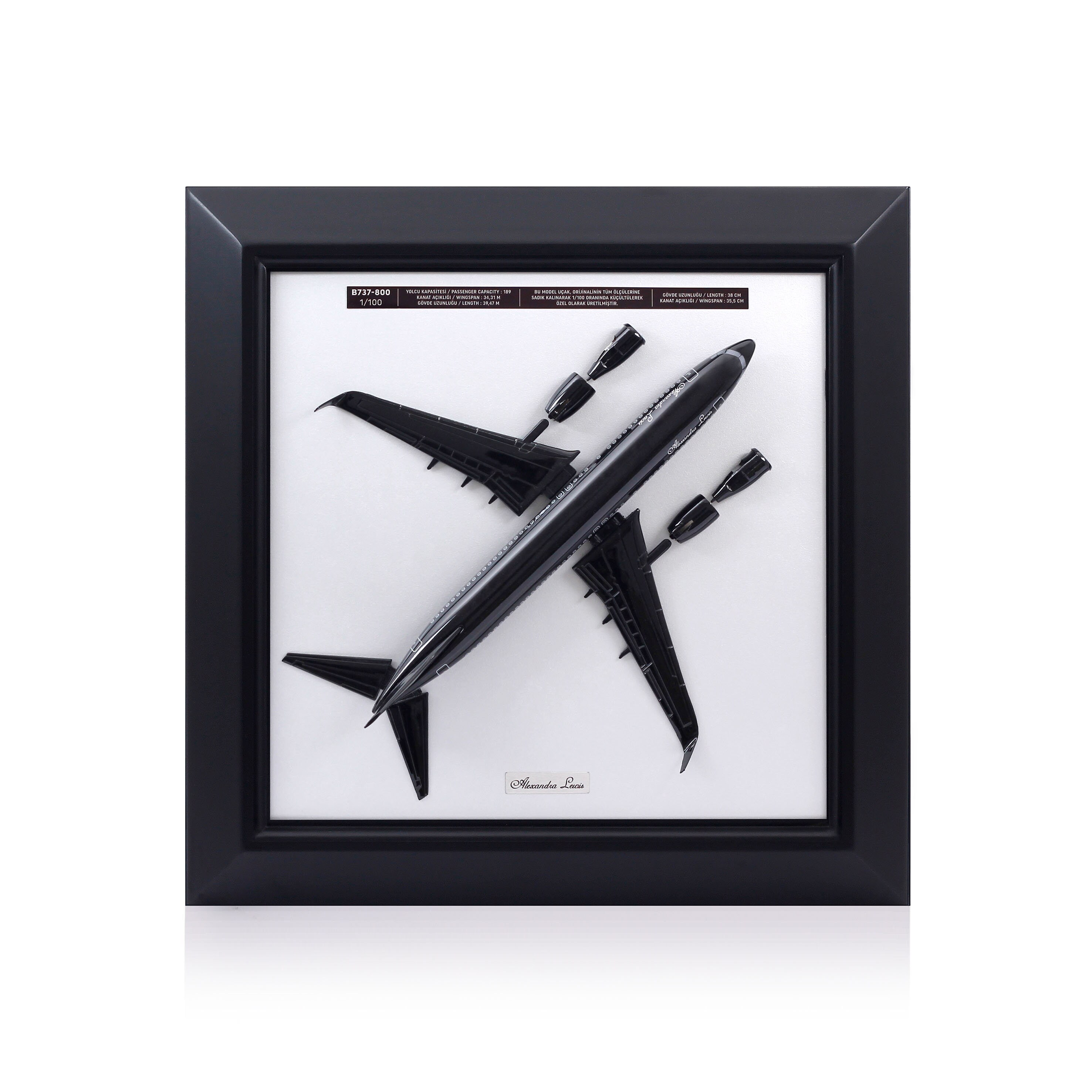 Boeing 737 Model Airplane Frame, 1/100 Scaled Airplane Wooden Frame ...
