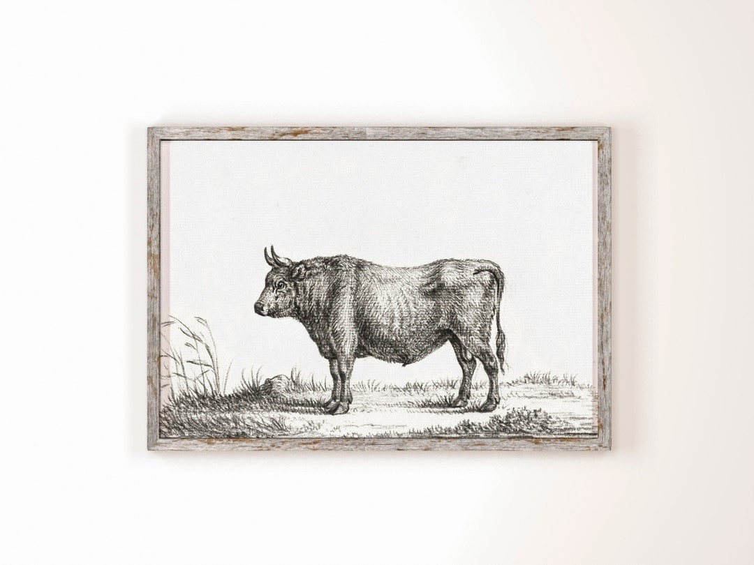 Vintage Cow Printable Antique Illustration Sketch of a Cow Black and ...