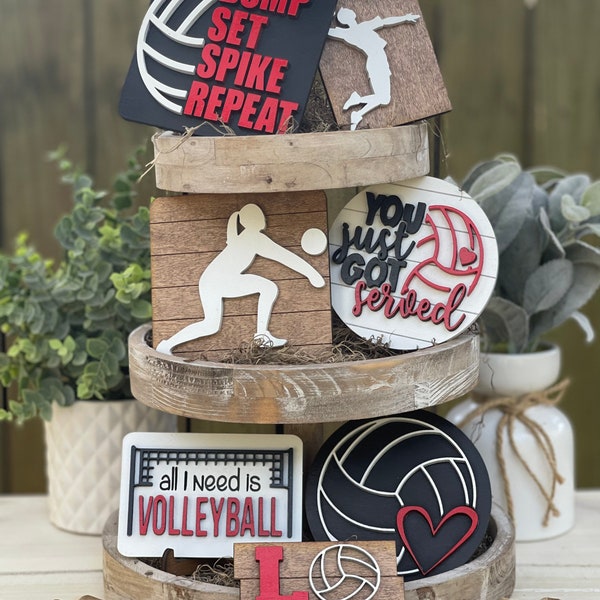 Volleyball Decor for Tiered Tray - Etsy