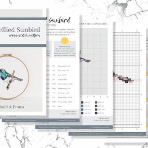 BUNDLE DEAL: Cute Small Birds Cross Stitch Patterns Cape White-eye & White-bellied Sunbird ...