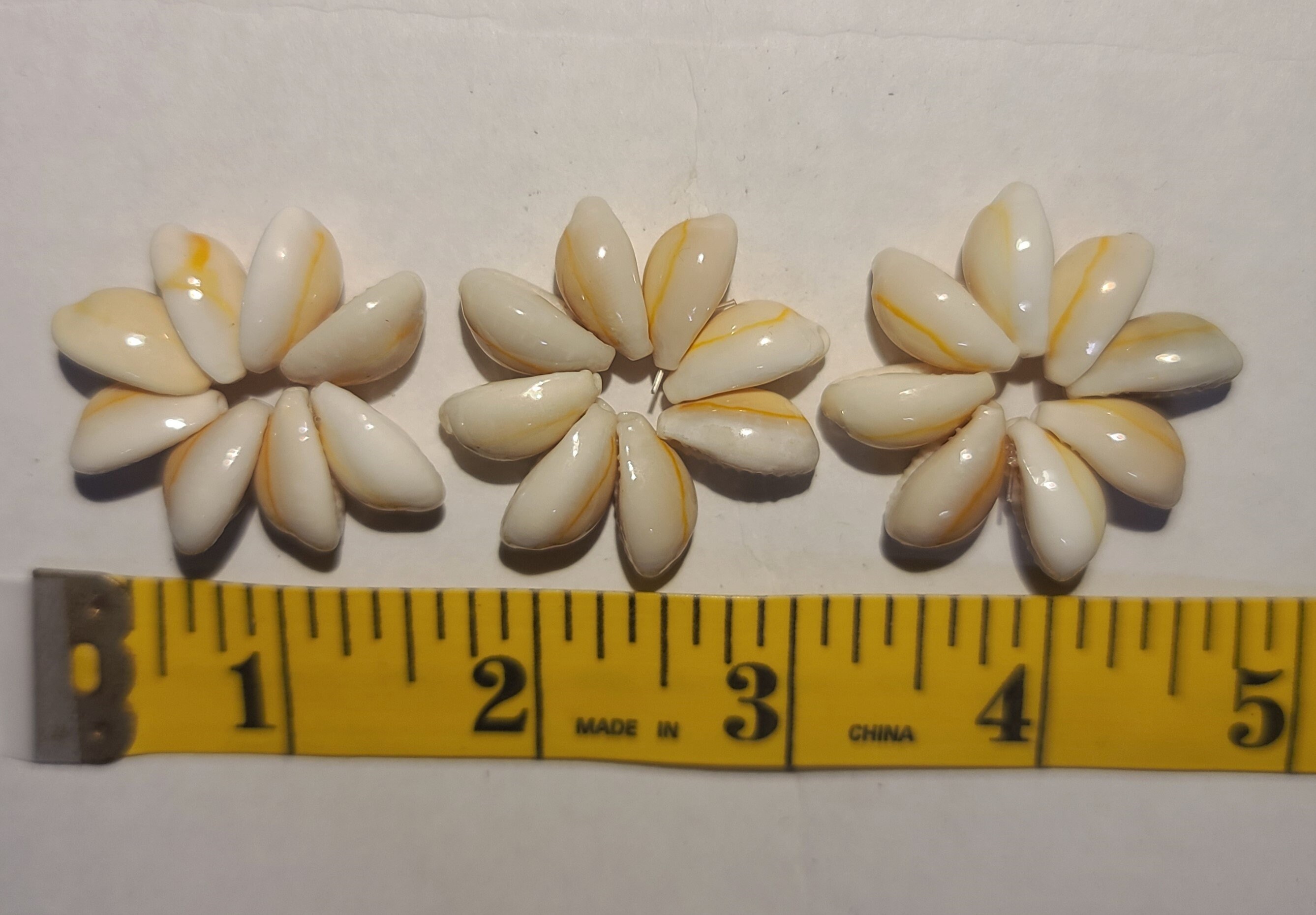 Loose Cowrie Shell Rings Hawaii Wholesale - Etsy