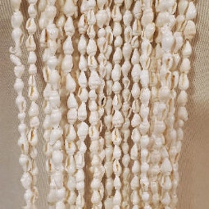 White Color Nassa Shell Long Lei Necklace - 12-strands of 56" Hawaiian ...