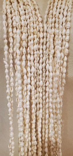 White Color Nassa Shell Long Lei Necklace - 12-strands of 56" Hawaiian ...