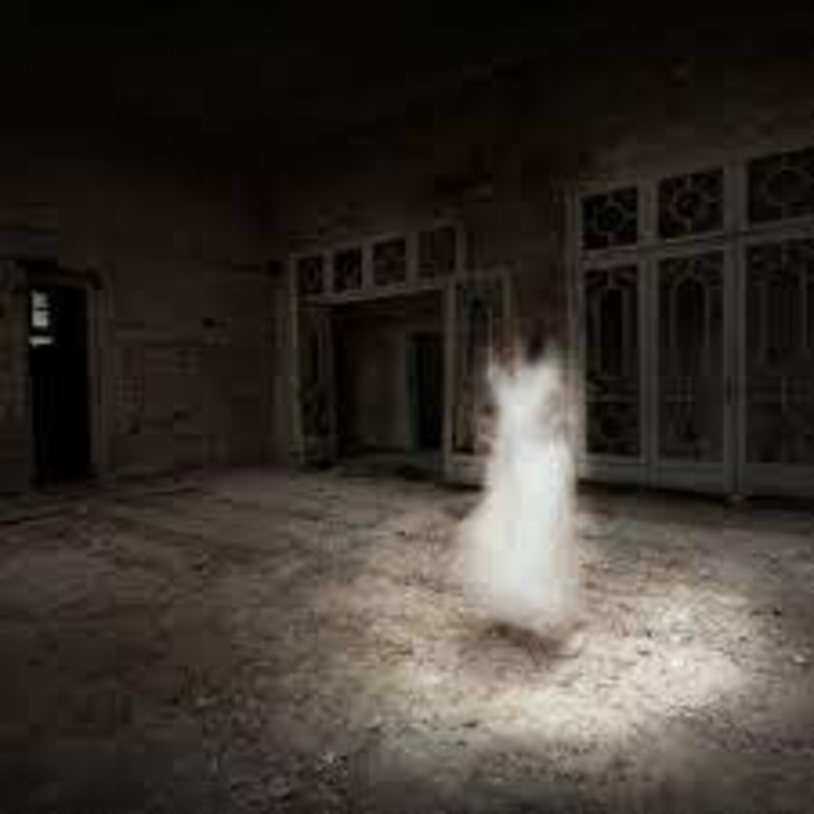 Spectre ghost photos - masterbery