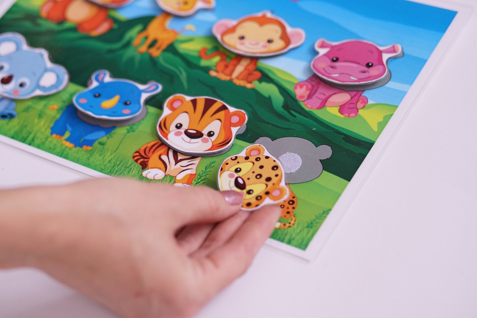 Animal head matching diy game Match the zoo animals worksheet | Etsy