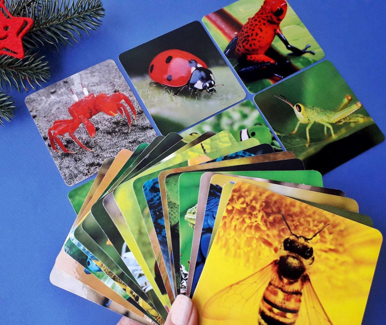 Animals Color Sorting Cards Color Matching Activity Color - Etsy