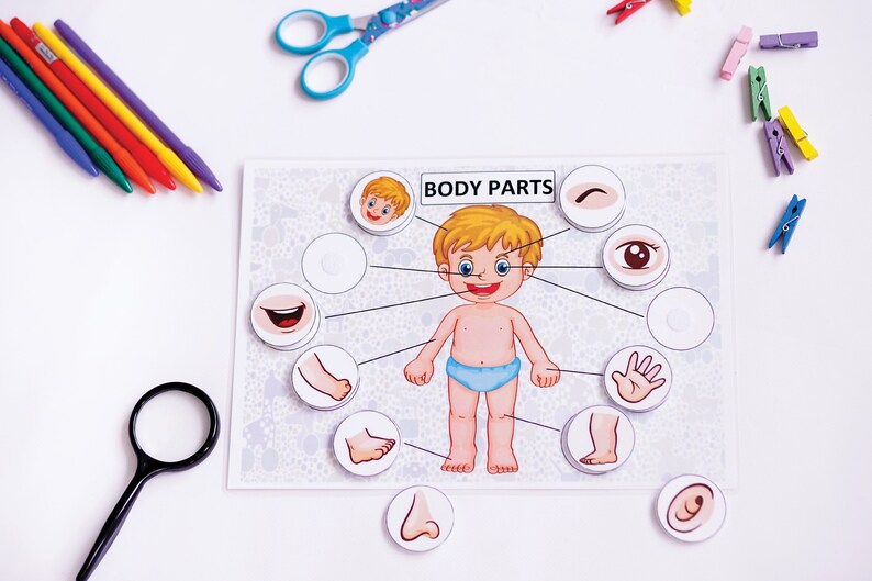 Body parts game Montessori activities Educational games for | Etsy