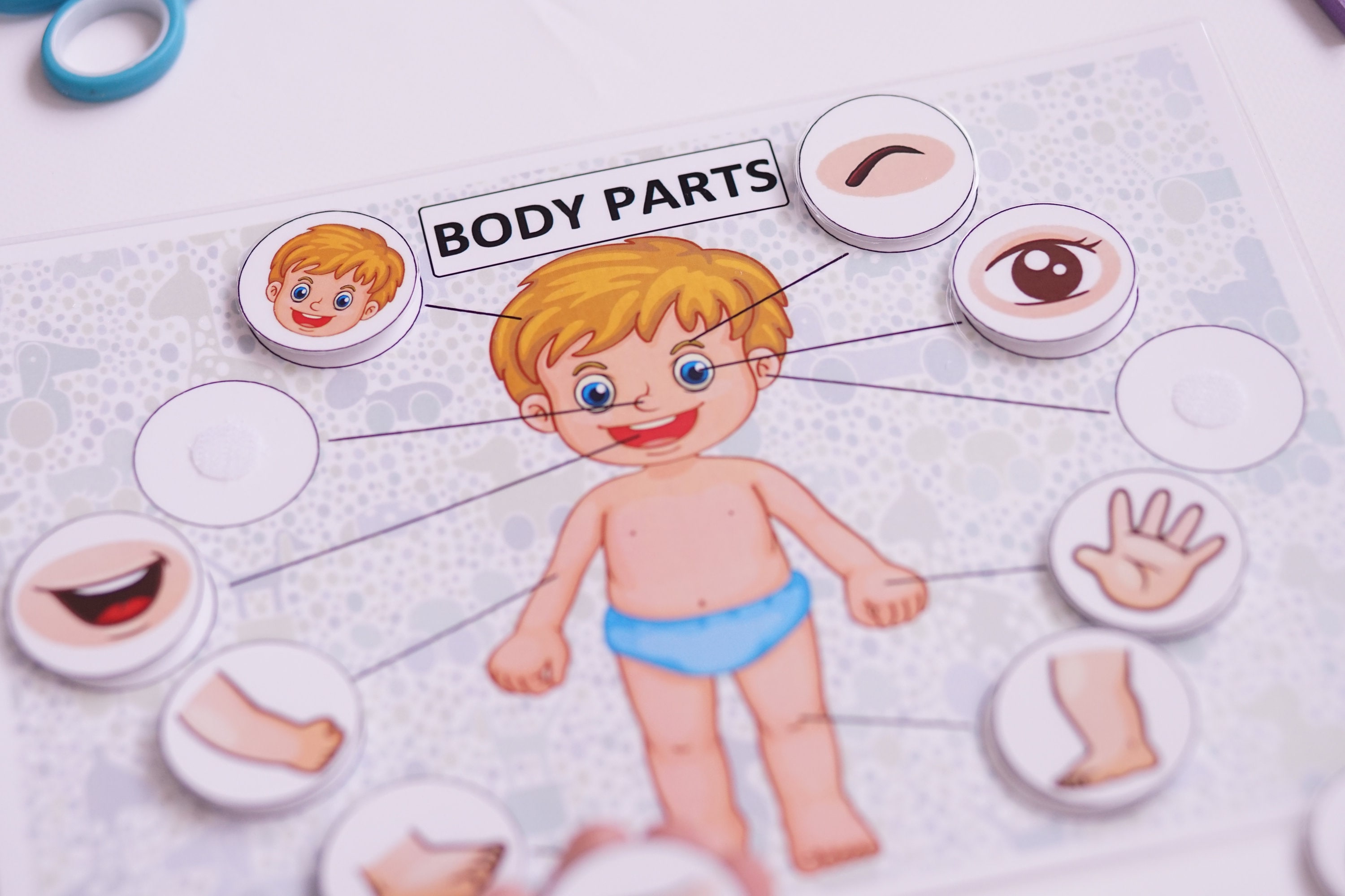 Juego de partes del cuerpo Montessori actividades Juegos | Etsy España