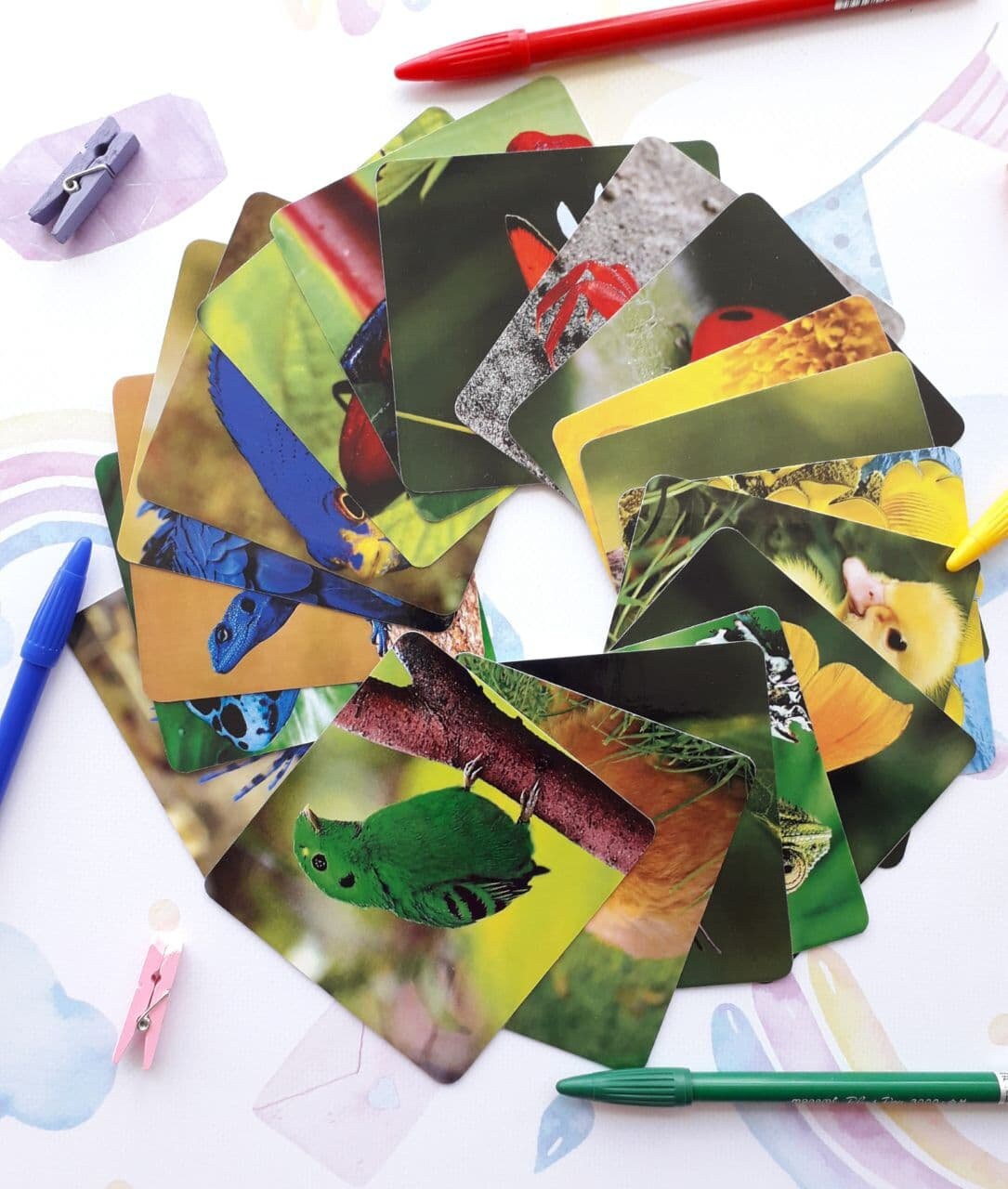 Animals Color Sorting Cards Color Matching Activity Color - Etsy