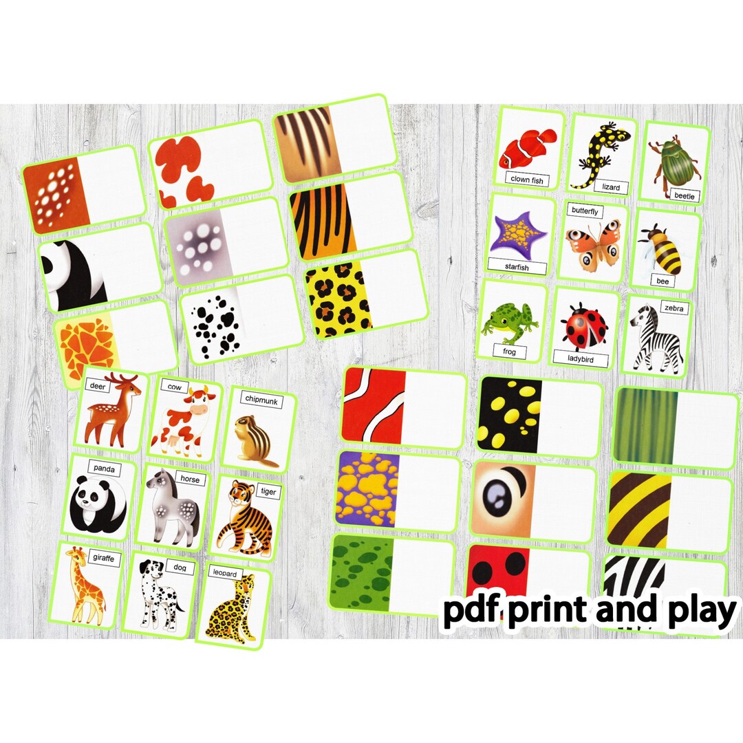 Animal Prints Matching Game for Preschool & Kindergarten - Etsy