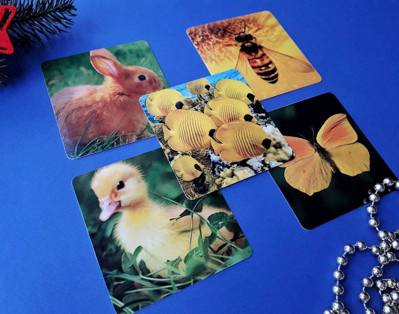 Animals Color Sorting Cards Color Matching Activity Color - Etsy