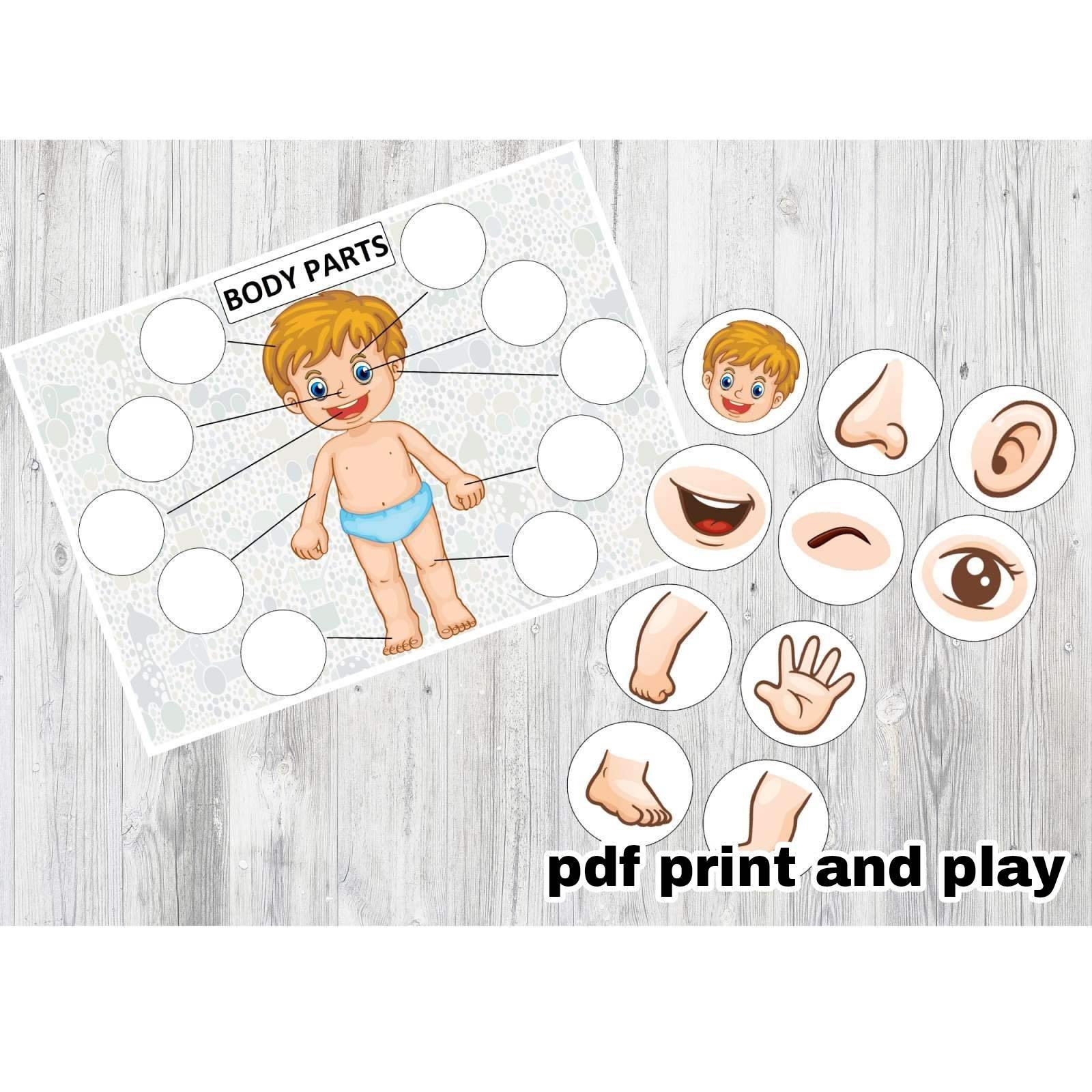 Body parts game Montessori activities Educational games for early ...