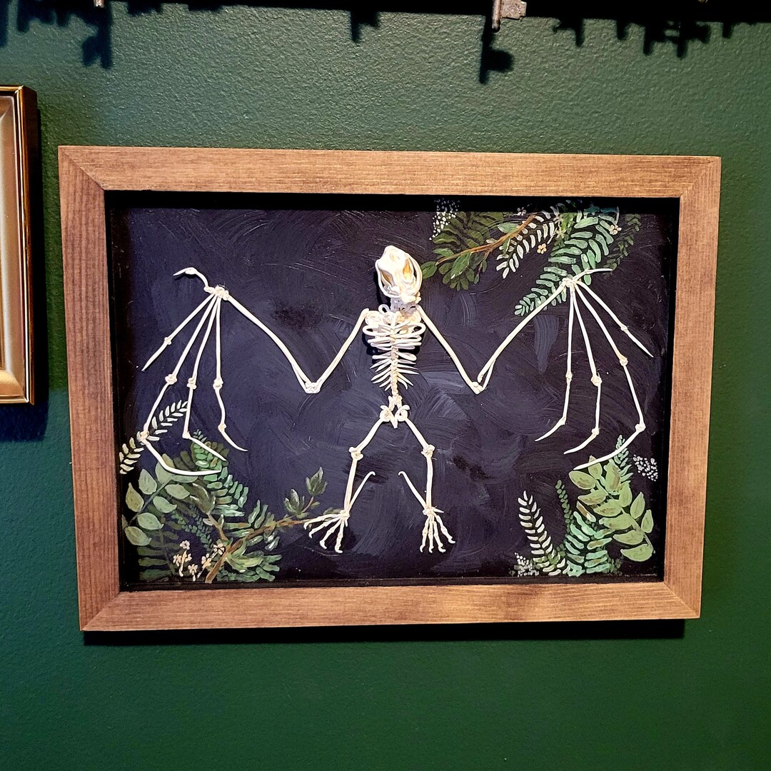 Bat Skeleton Art Sculpture Vegan Bones Faux Taxidermy Faux Skeleton ...