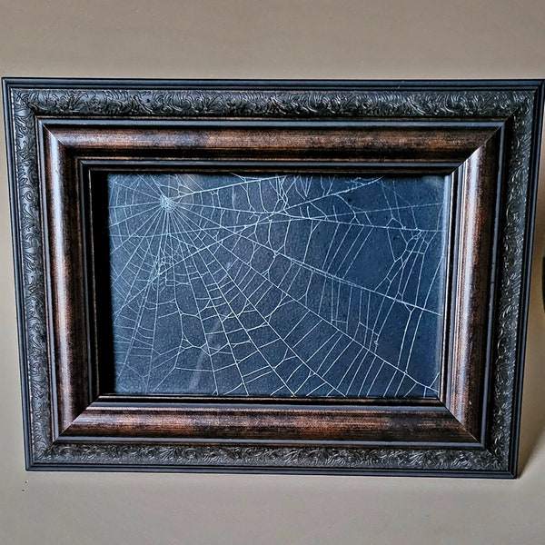 Spider Web Decor - Etsy