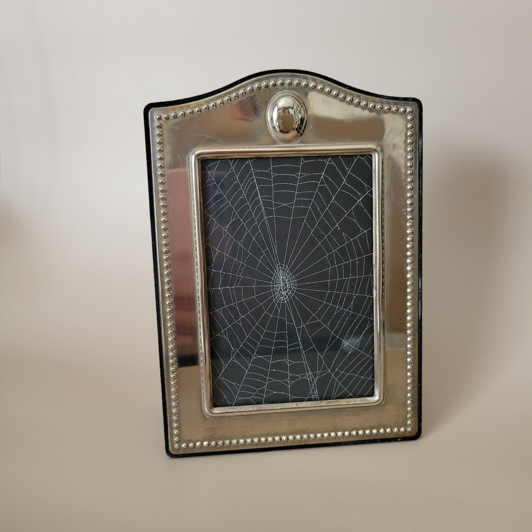 Spiderweb Preserved Spider Web Framed Spider Web Spider Web Real Spider ...