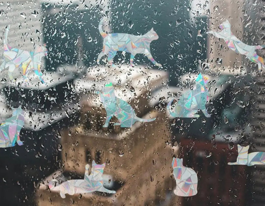 2 Set of Cat Suncatcher Stickers Suncatcher, Window Prism Sticker ...