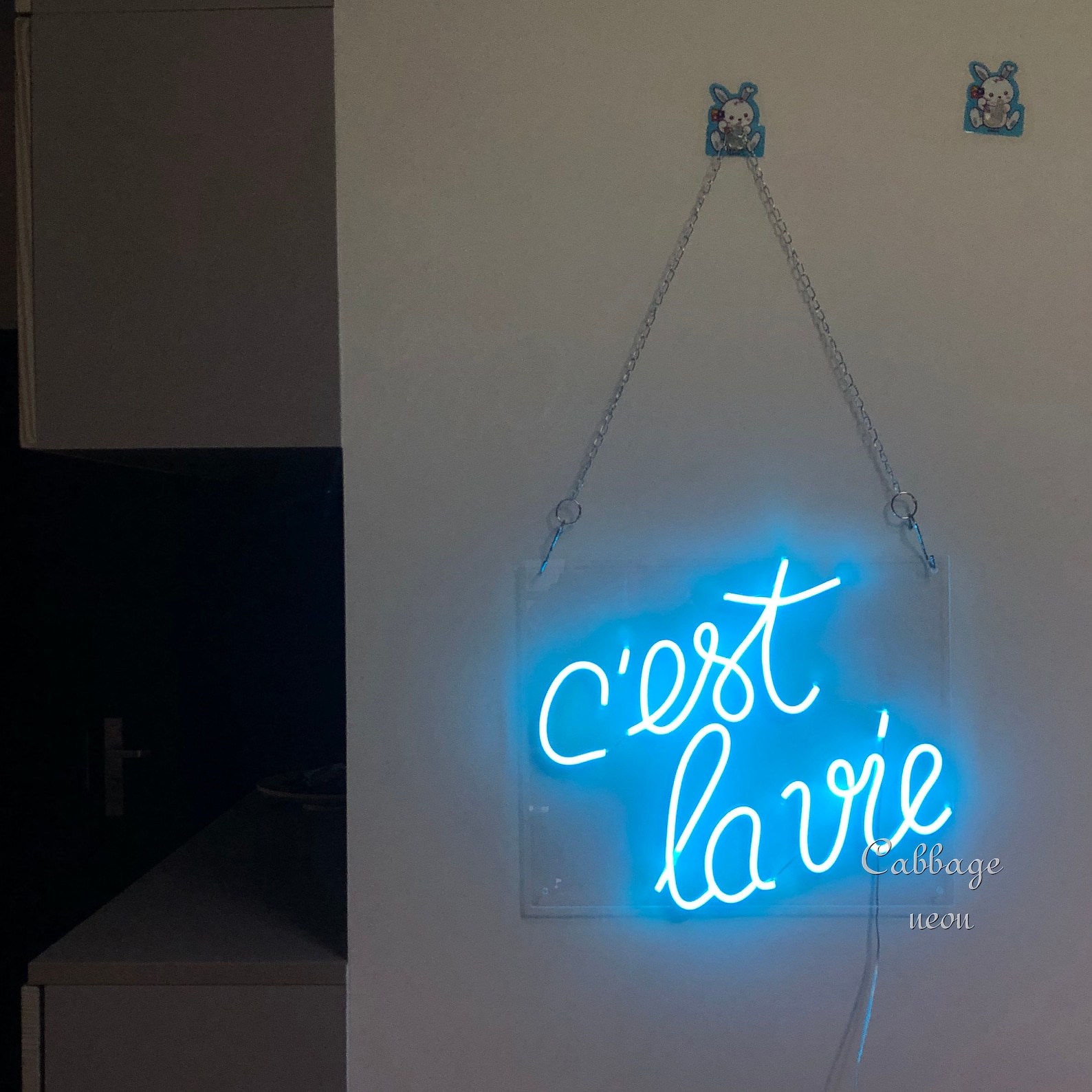 C est la vie Custom Neon Signs Neonsign home | Etsy