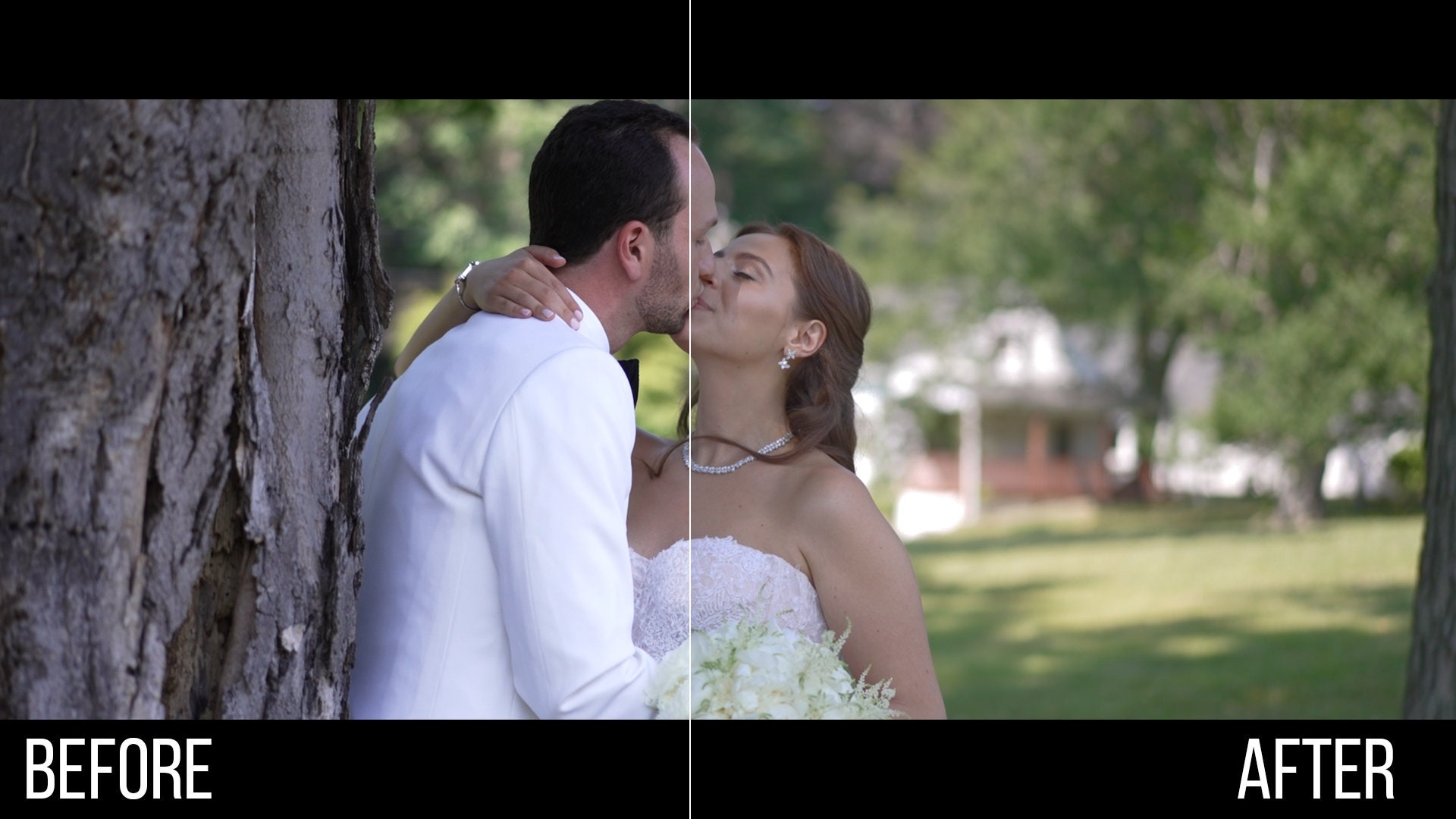 S-cinetone to Film Look - LUT - Etsy