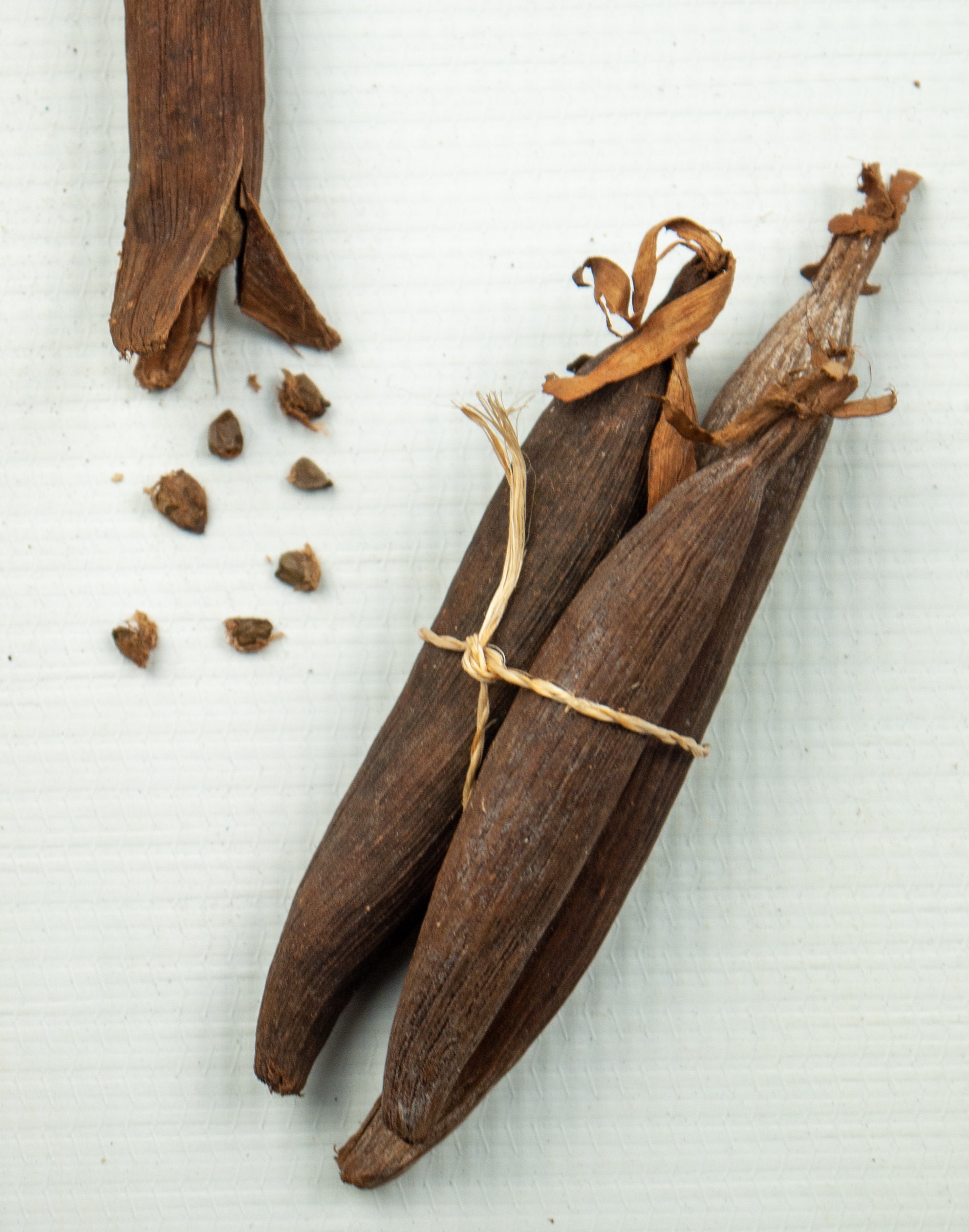 KOPABANA Aframomum Grains of Peace: Cameroonian Jujube Spice (3 Pcs) - Etsy